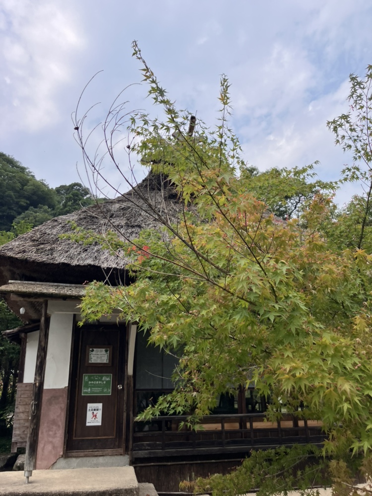 MASTER OF WDP かめの今更始めるブログ成長日記【第十三話 ウッドデザインパークって高いんでしょ？と昔よく言われていたのでなんだかんだ色々なグランピング施設やバーベキュー場、宿泊施設 ...